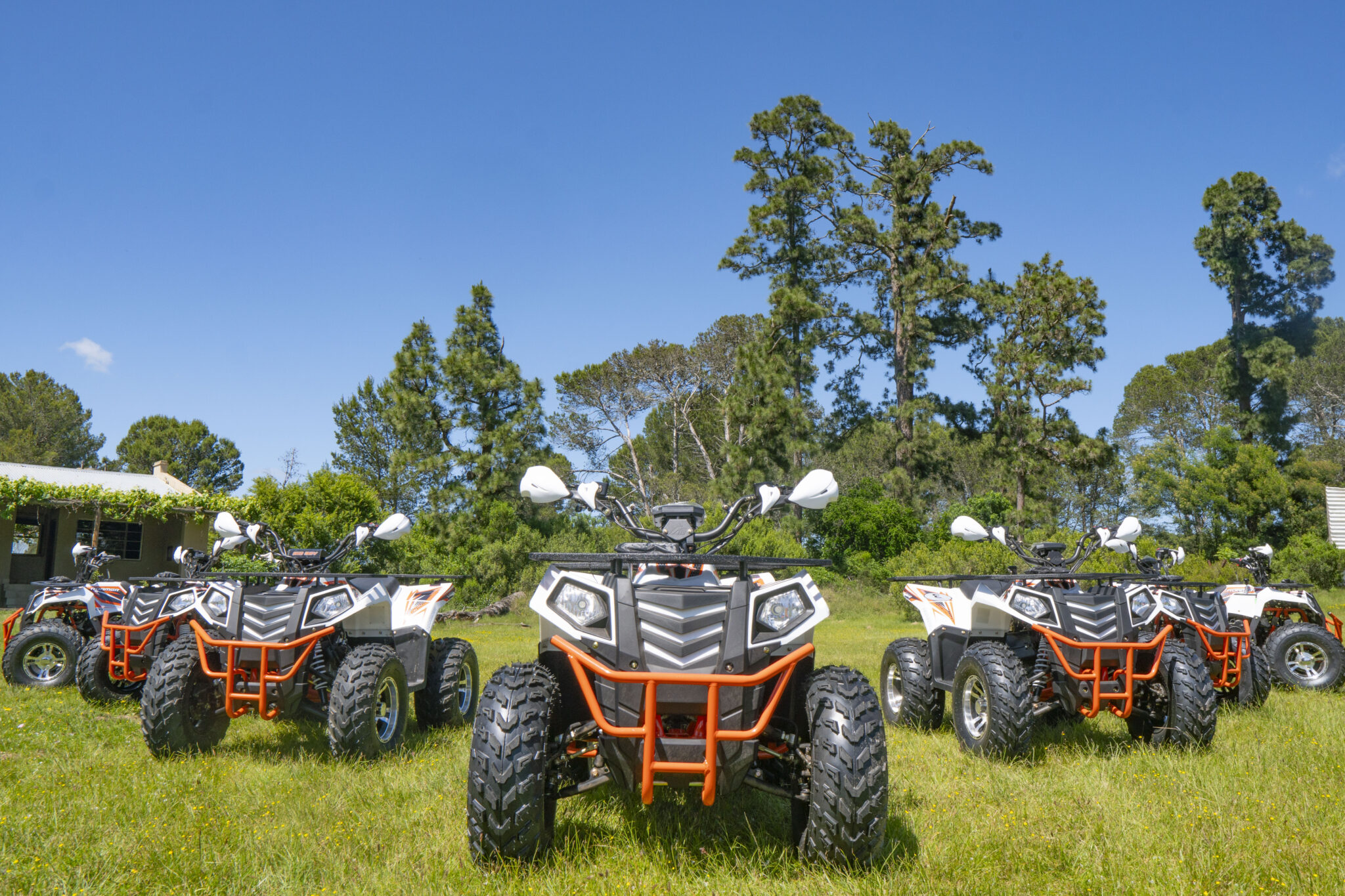 Game Reserve Eastern Cape